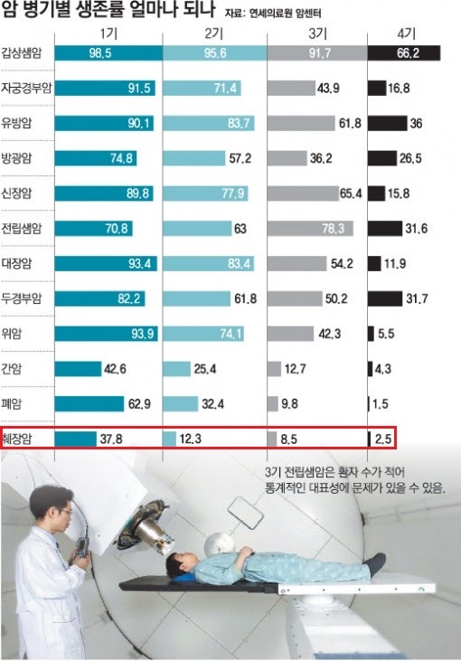 췌장암1기 2기 3기 4기 생존율 네이버 블로그